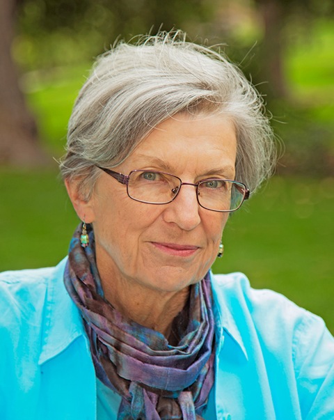 The Apple’s Tale – Judith Montgomery | panoply, a literary zine