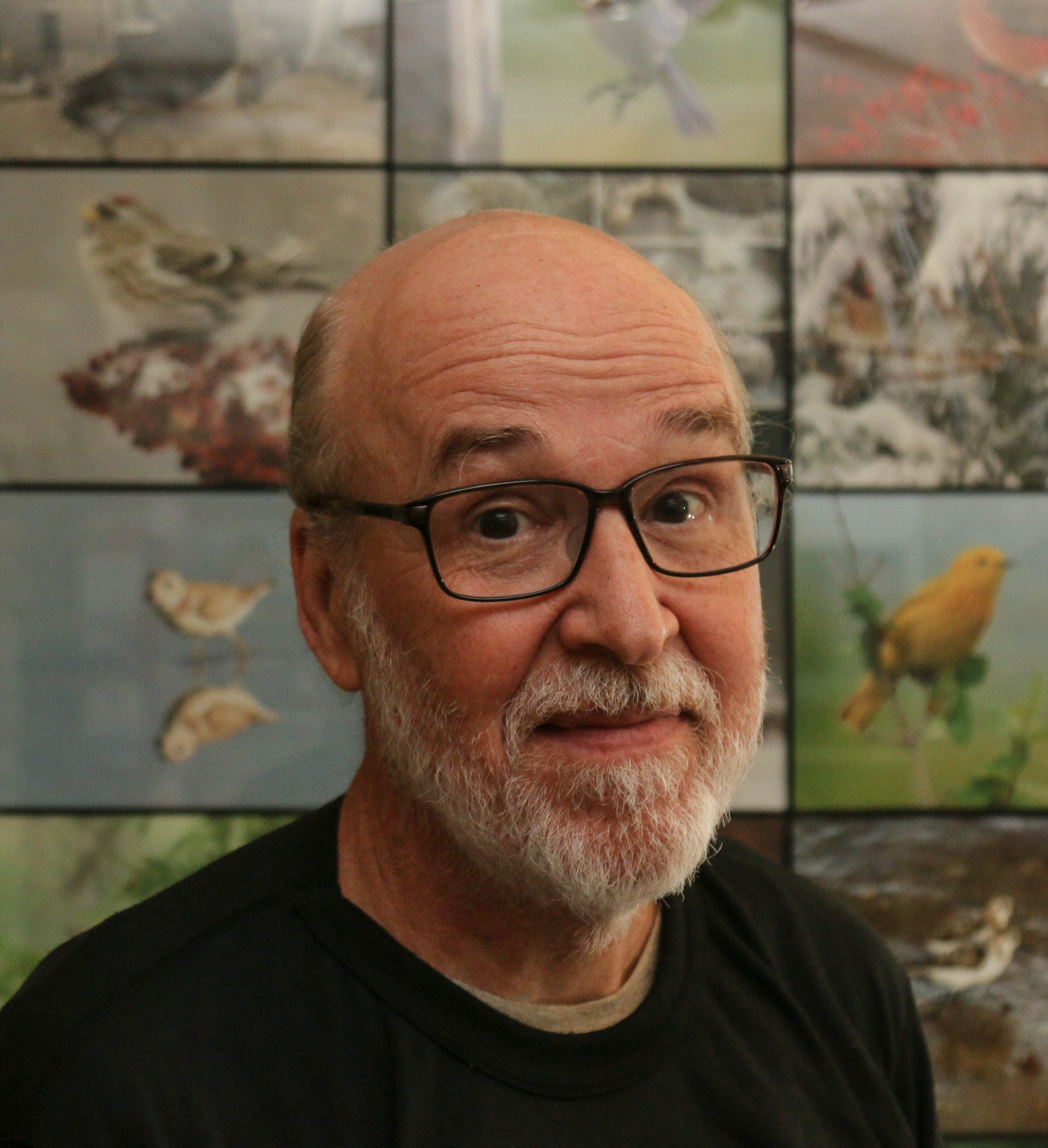 Great Blue – by Bill Griffin | panoply, a literary zine