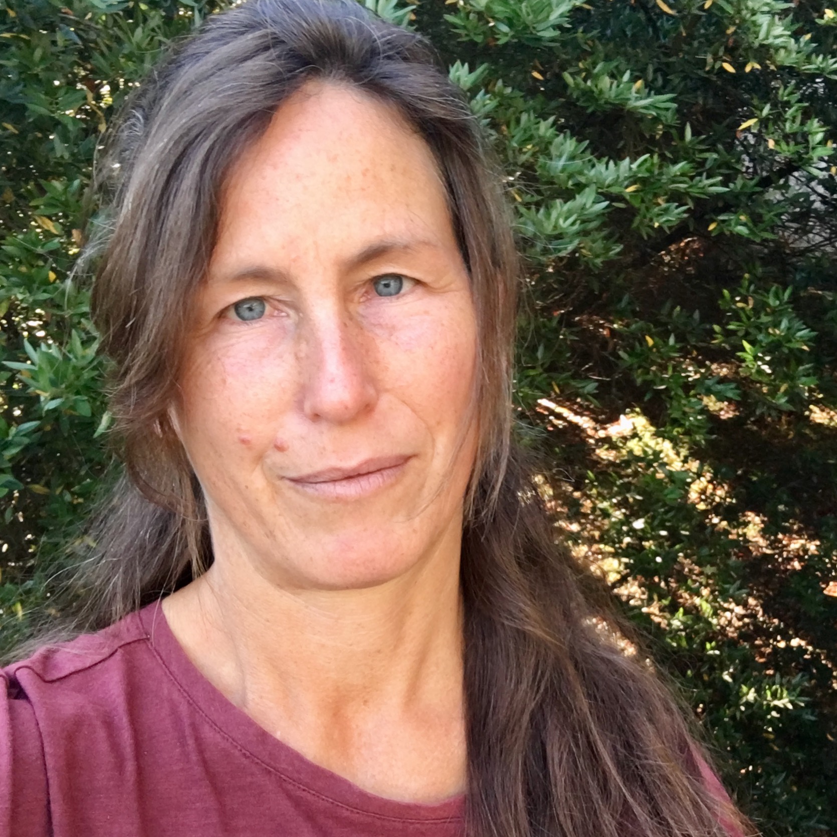 Shellfish – by Diana Donovan | panoply, a literary zine